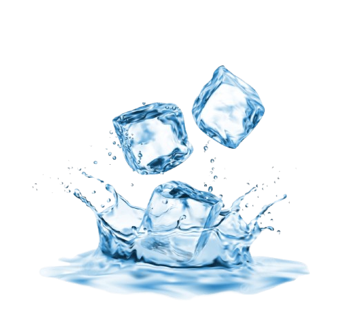 Inveshub - Ice Factory Excellence